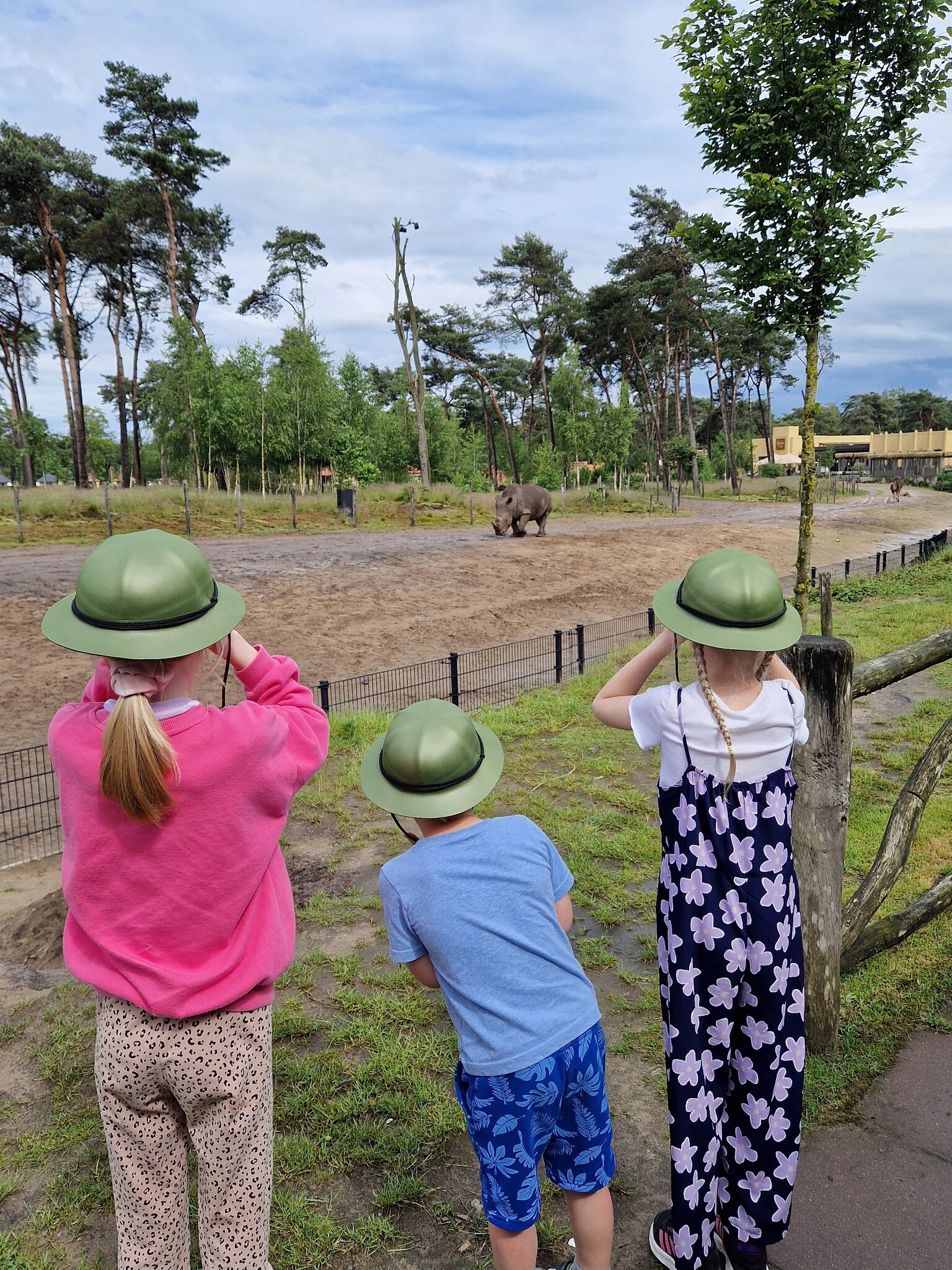 Review: Beekse Bergen, Our Dutch Safari Adventure - Little Clogs Holidays